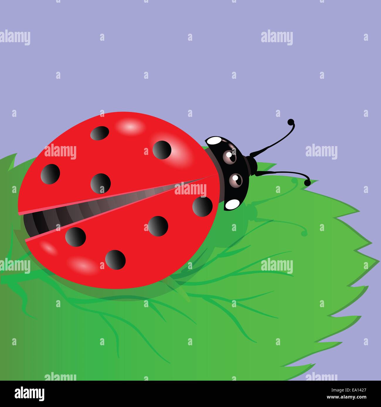 Ladybird shadow hi-res stock photography and images - Alamy