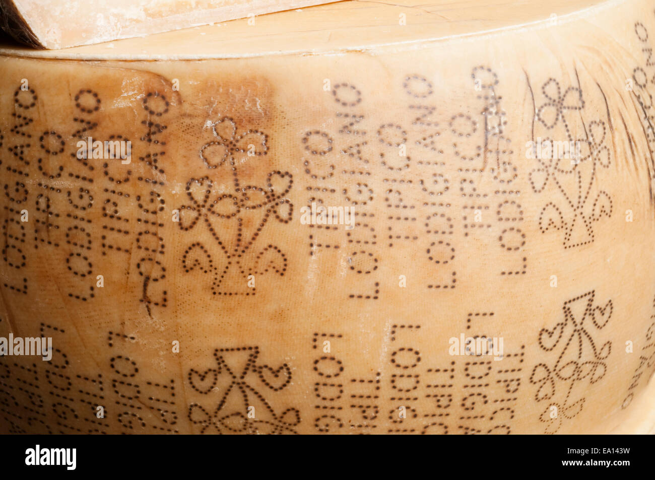 Italy, Lombardy, Lodi, Grana Lodigiano Cheese Stock Photo - Alamy