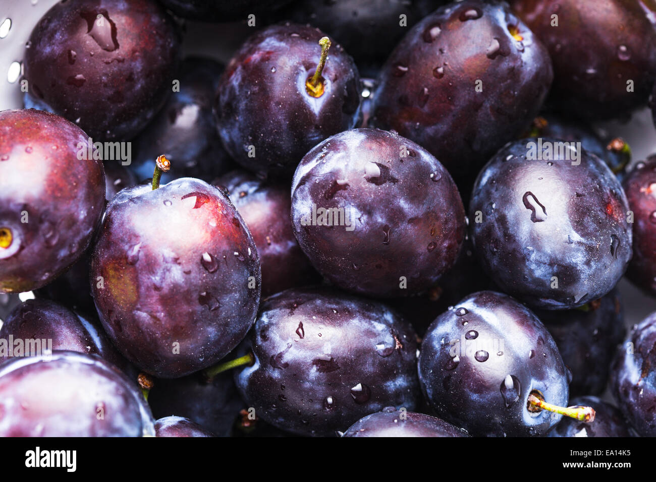 Fleshy wet plums close up as a background Stock Photo - Alamy