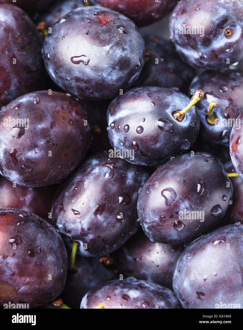 Fleshy wet plums close up as a background Stock Photo - Alamy