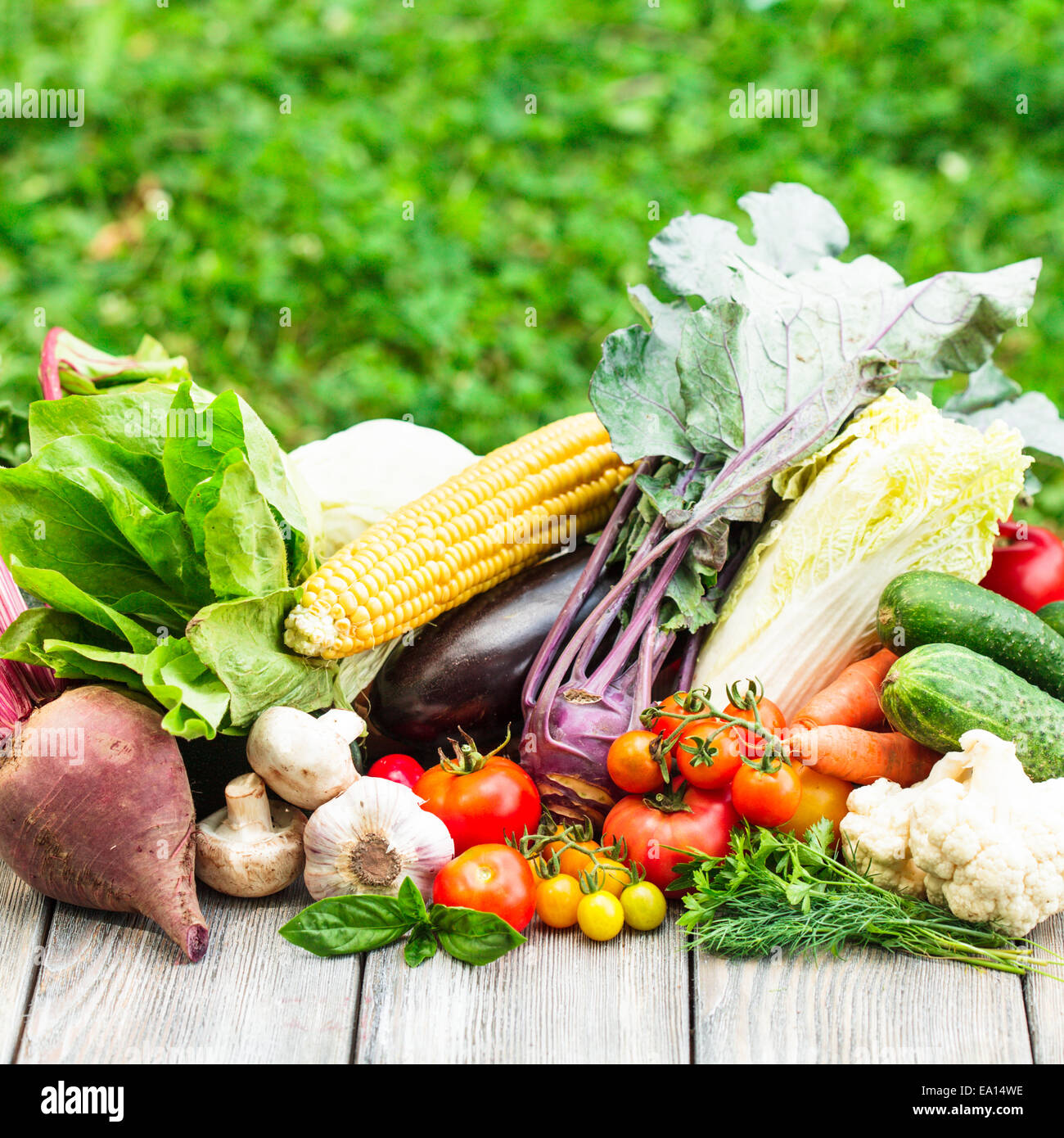 Various vegetables and herbs corn hi-res stock photography and images ...