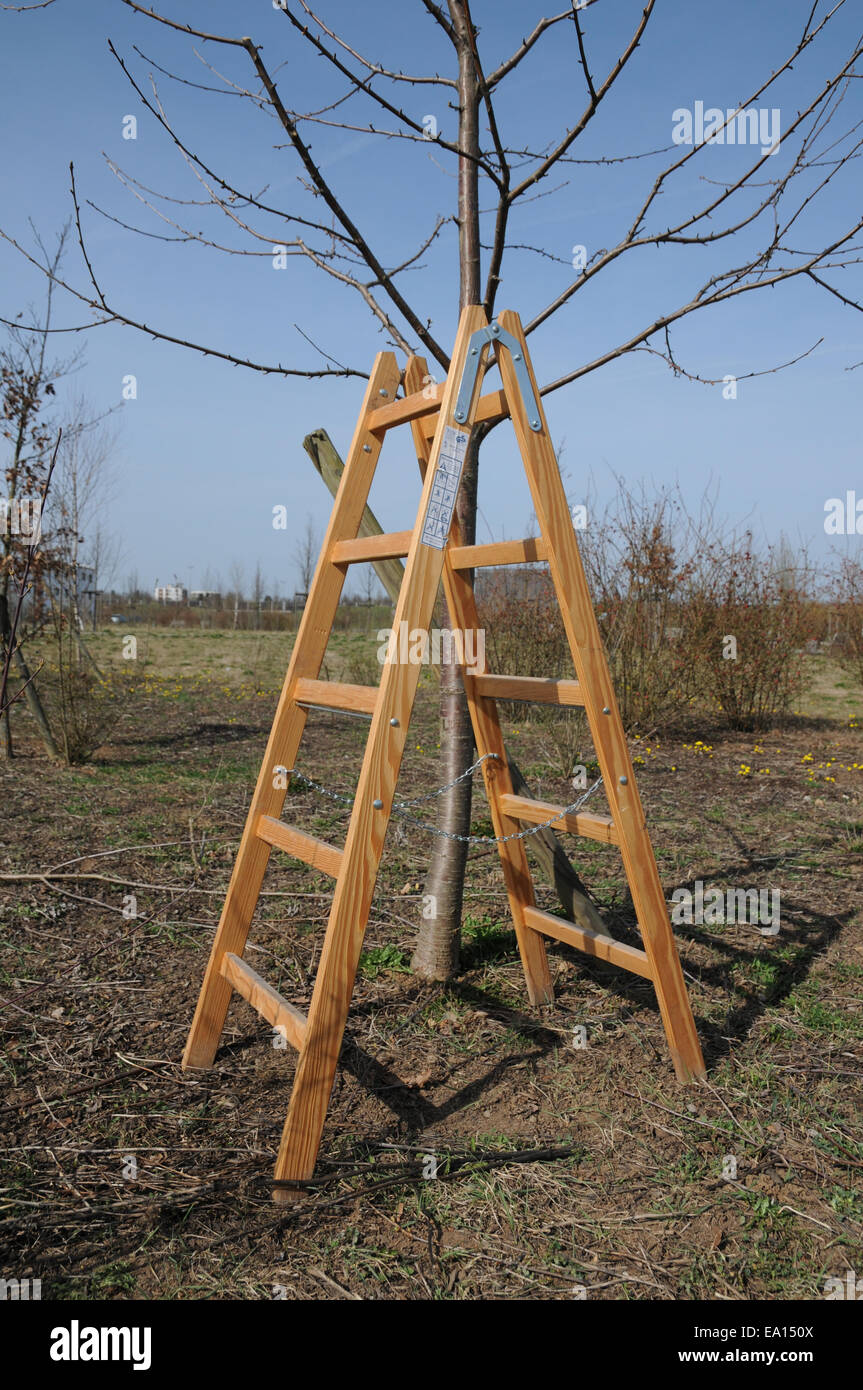 Wooden ladder garden hi-res stock photography and images - Alamy