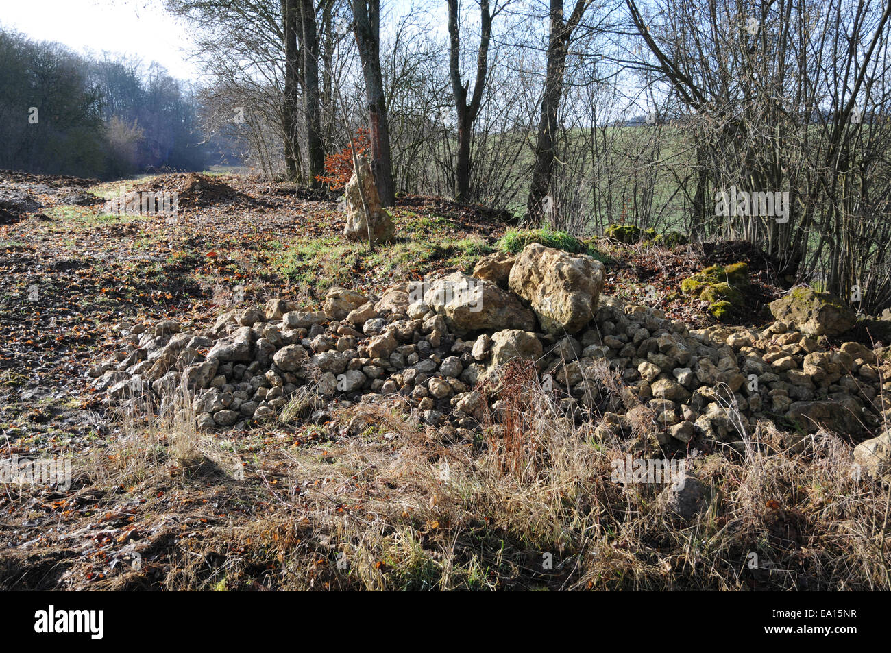 Bruchsteine natursteine hi-res stock photography and images - Alamy