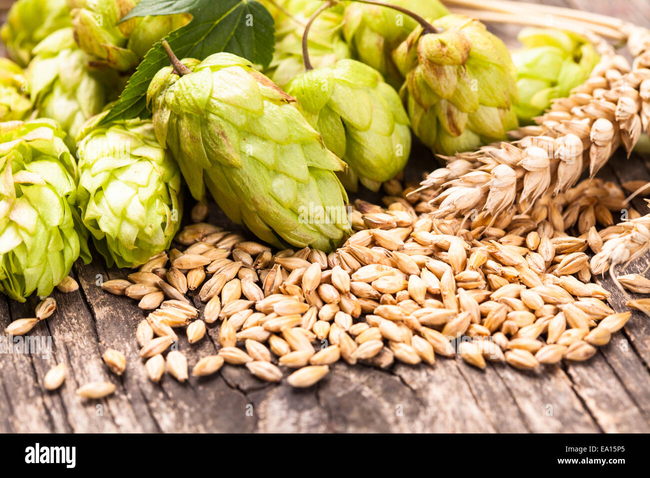 Barley and hops on a wooden background. Beer concept Stock Photo - Alamy