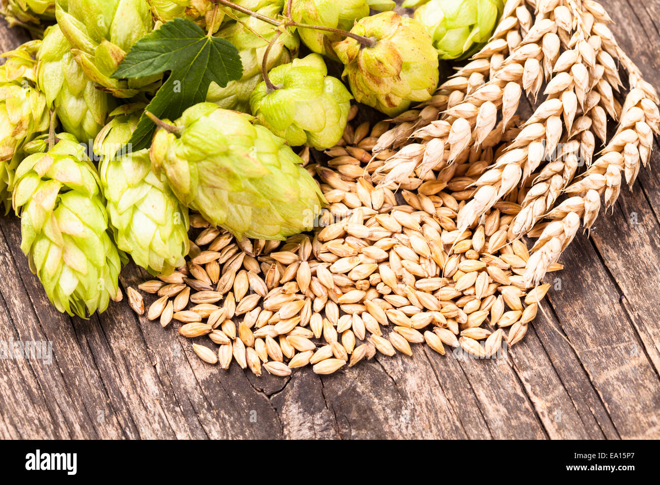 Barley and hops on a wooden background. Beer concept Stock Photo - Alamy
