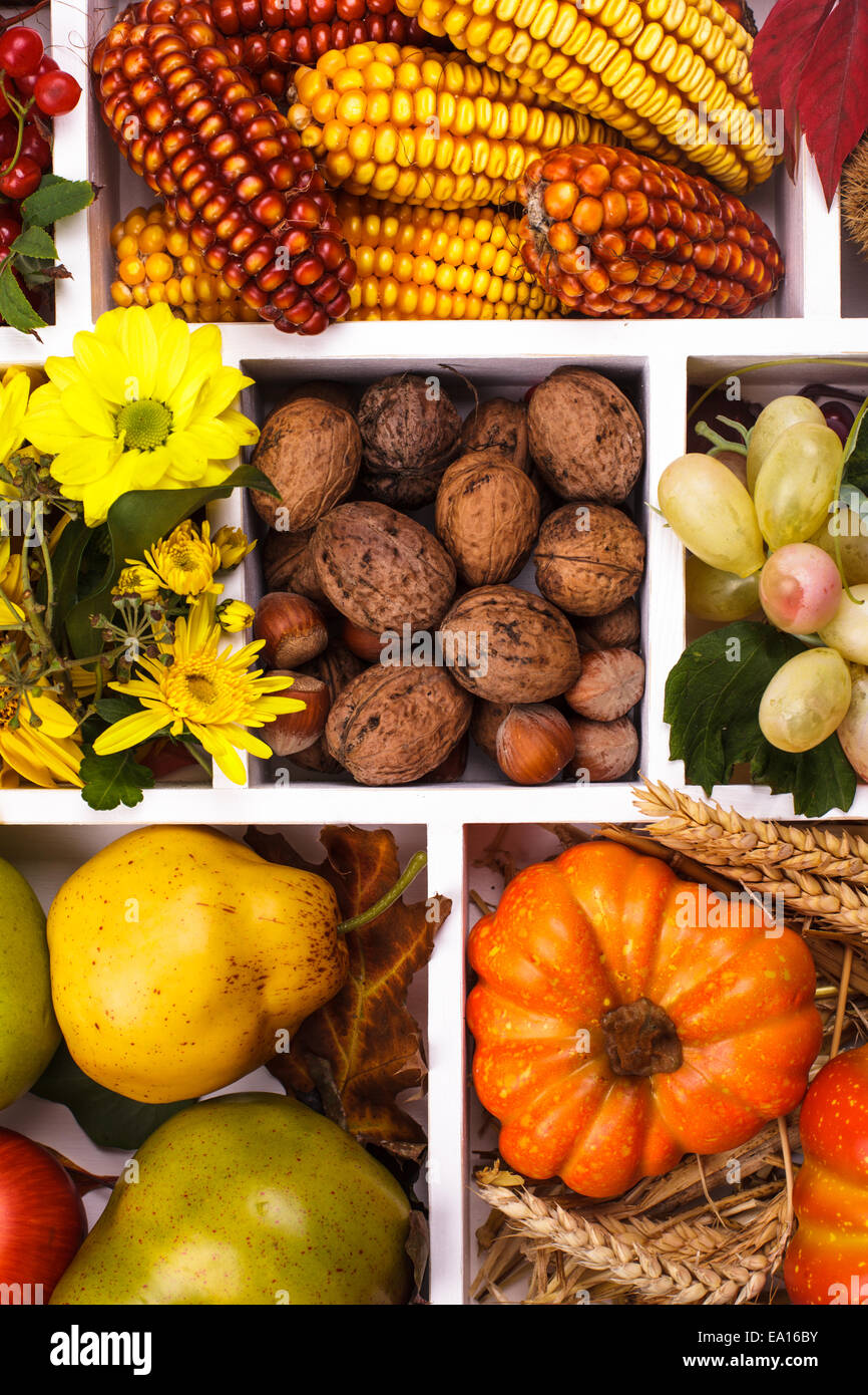 Autumn in a box - fruits, berries, nuts, flowers, corn and pumpkins ...