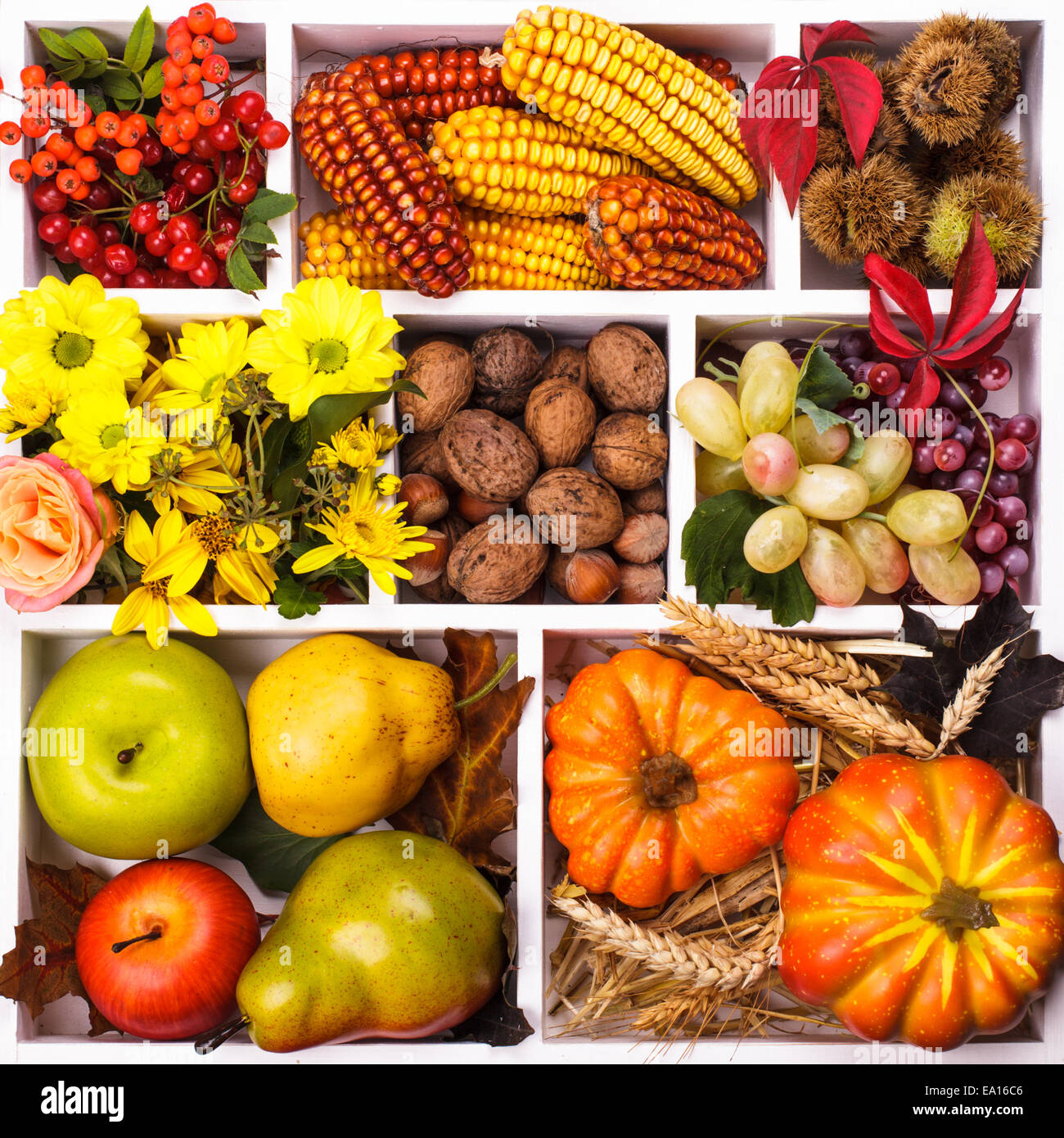 Autumn in a box - fruits, berries, nuts, flowers, corn and pumpkins ...
