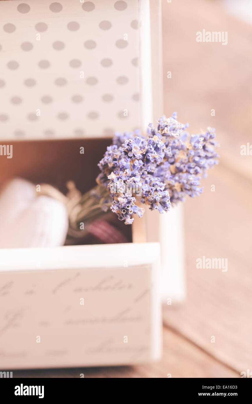 Bunch of dry lavender in decorative little shabby chic chest of drawers ...