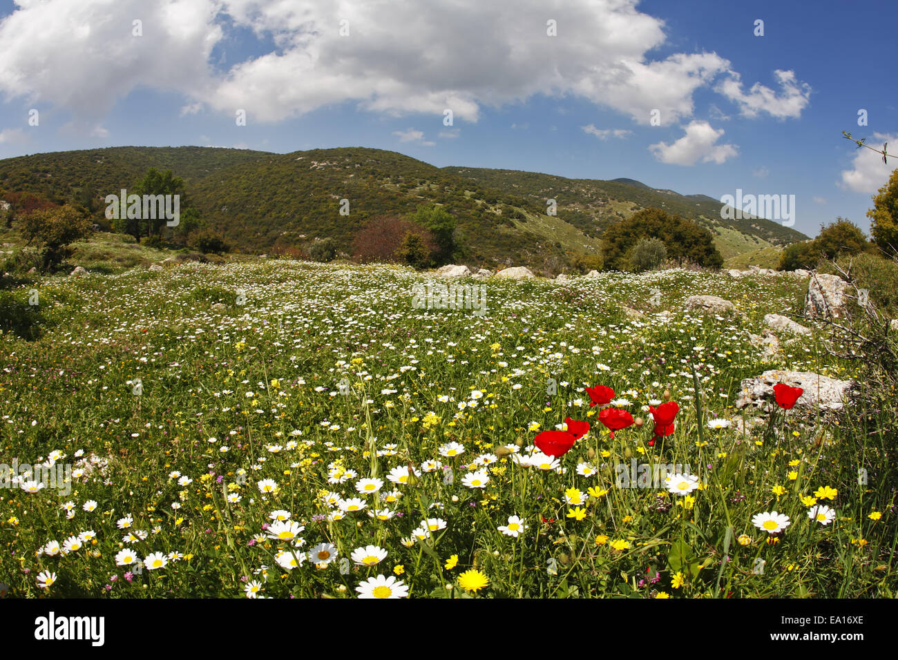 Hilly scene hilly scene hi-res stock photography and images - Alamy