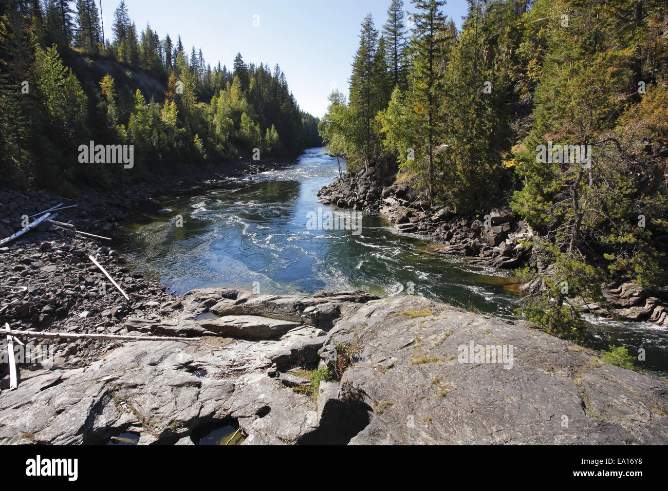 Fast river among an forest Stock Photo - Alamy