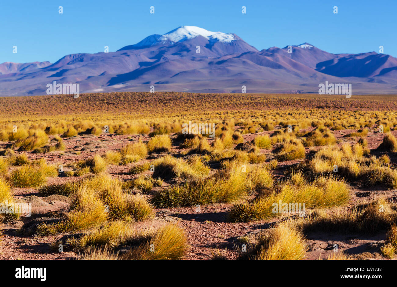 Mountains in Bolivia Stock Photo - Alamy