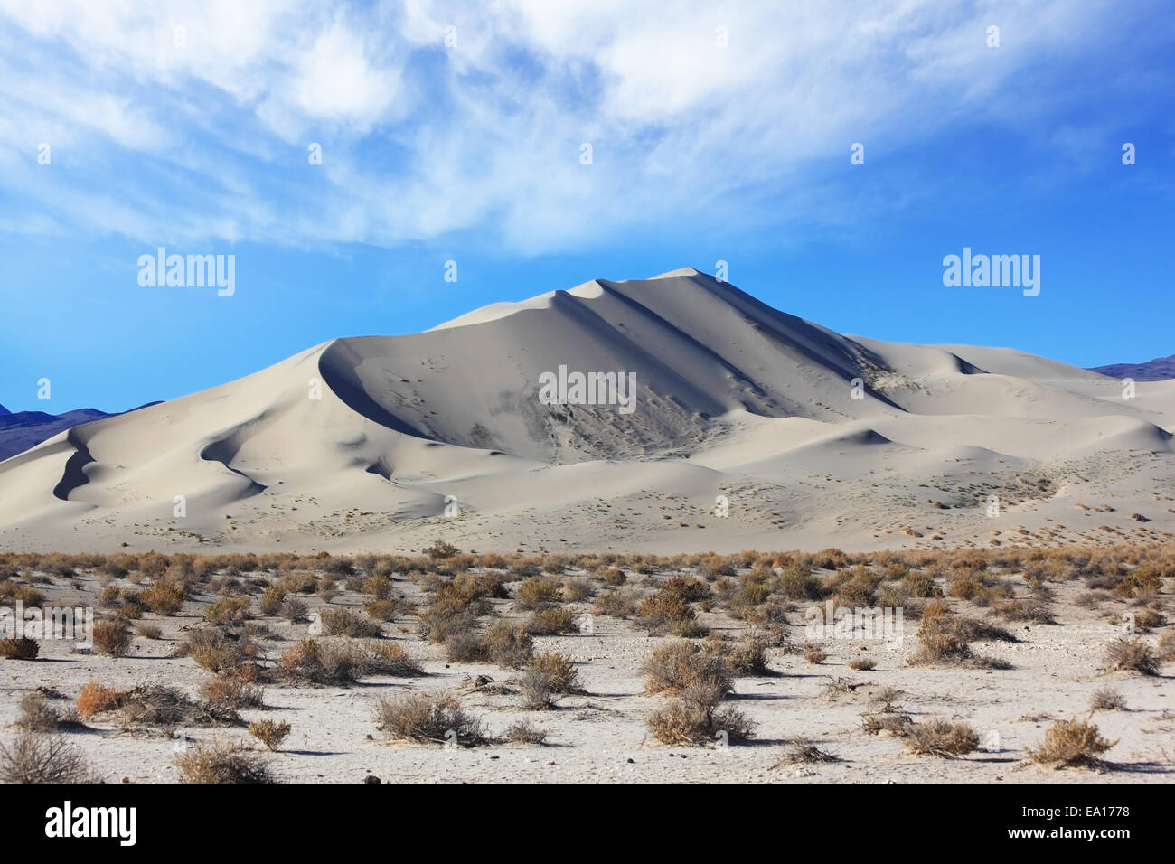 Early morning in the desert Stock Photo - Alamy