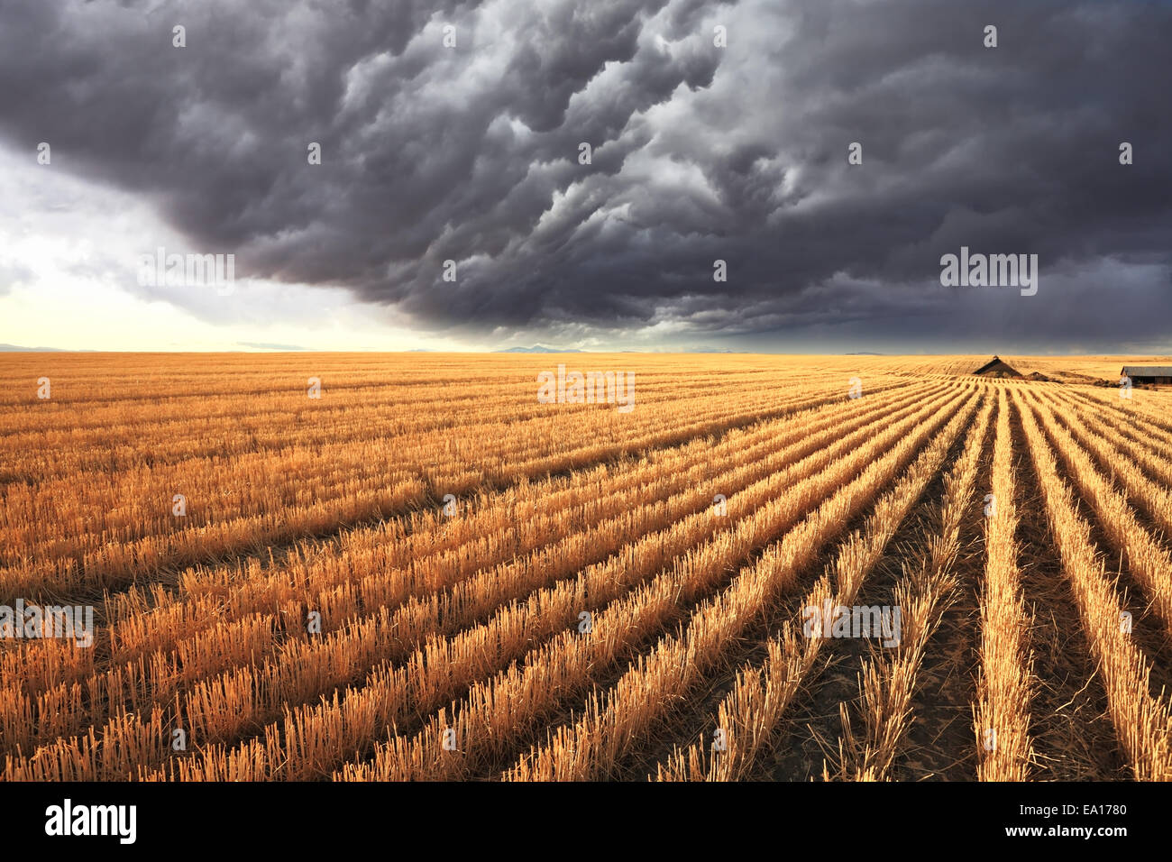A huge storm cloud Stock Photo - Alamy