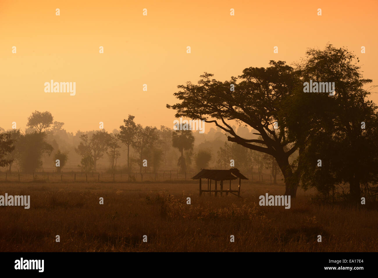 Amnat charoen hi-res stock photography and images - Alamy
