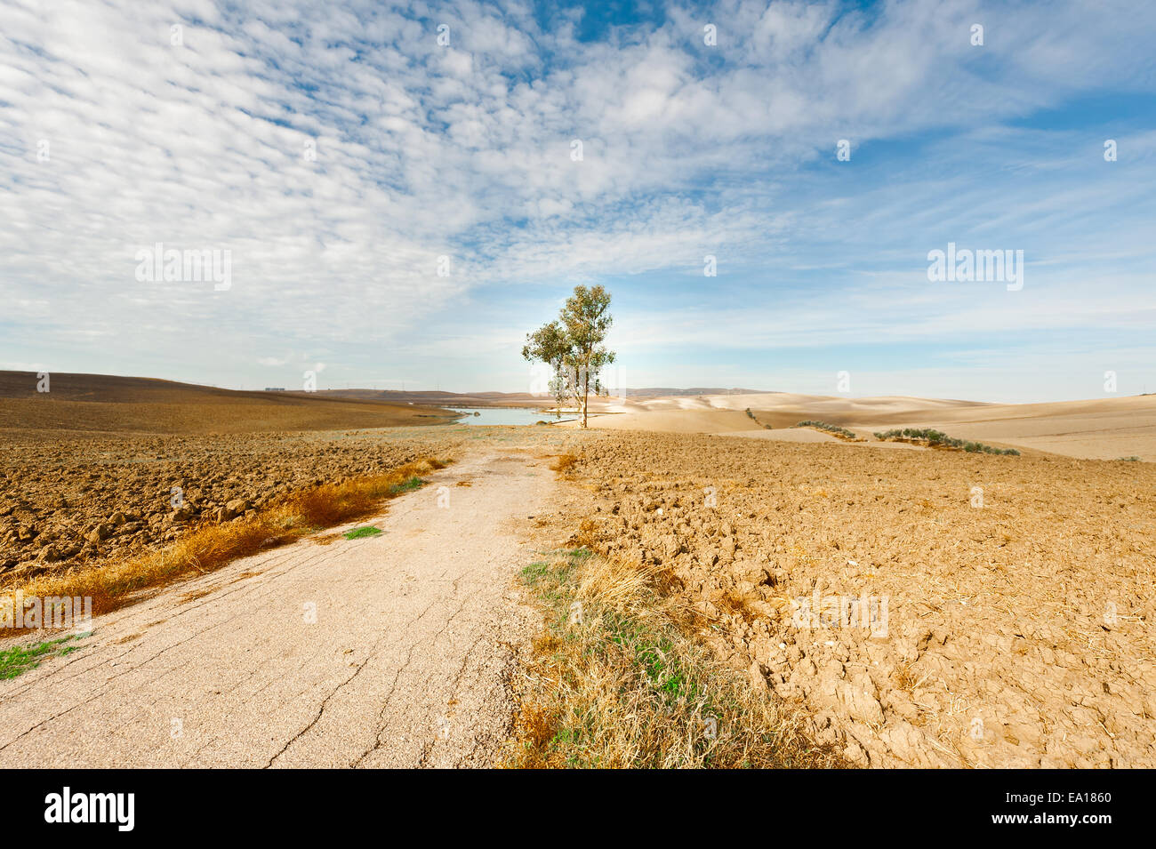 Dry village pond hi-res stock photography and images - Alamy