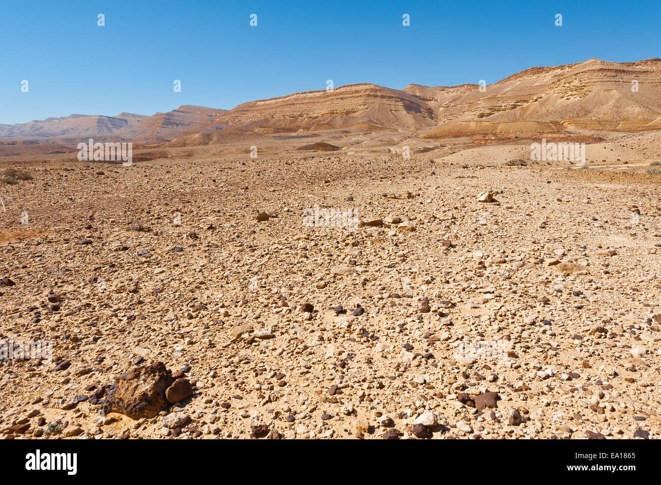 Desert in Israel Stock Photo - Alamy