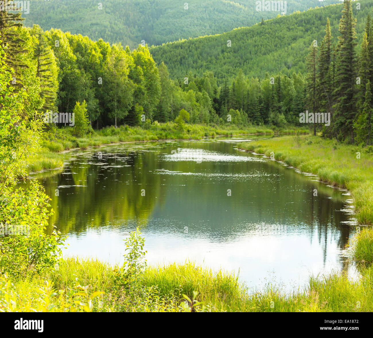 Lake on Alaska Stock Photo - Alamy
