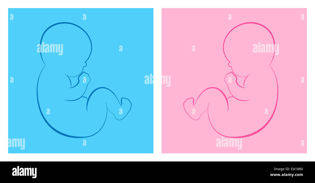 Sweet newborn baby girl Cut Out Stock Images & Pictures - Alamy