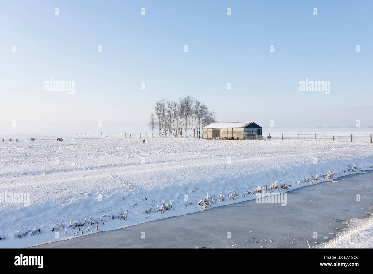 A cold winter morning in Netherlands Stock Photo - Alamy