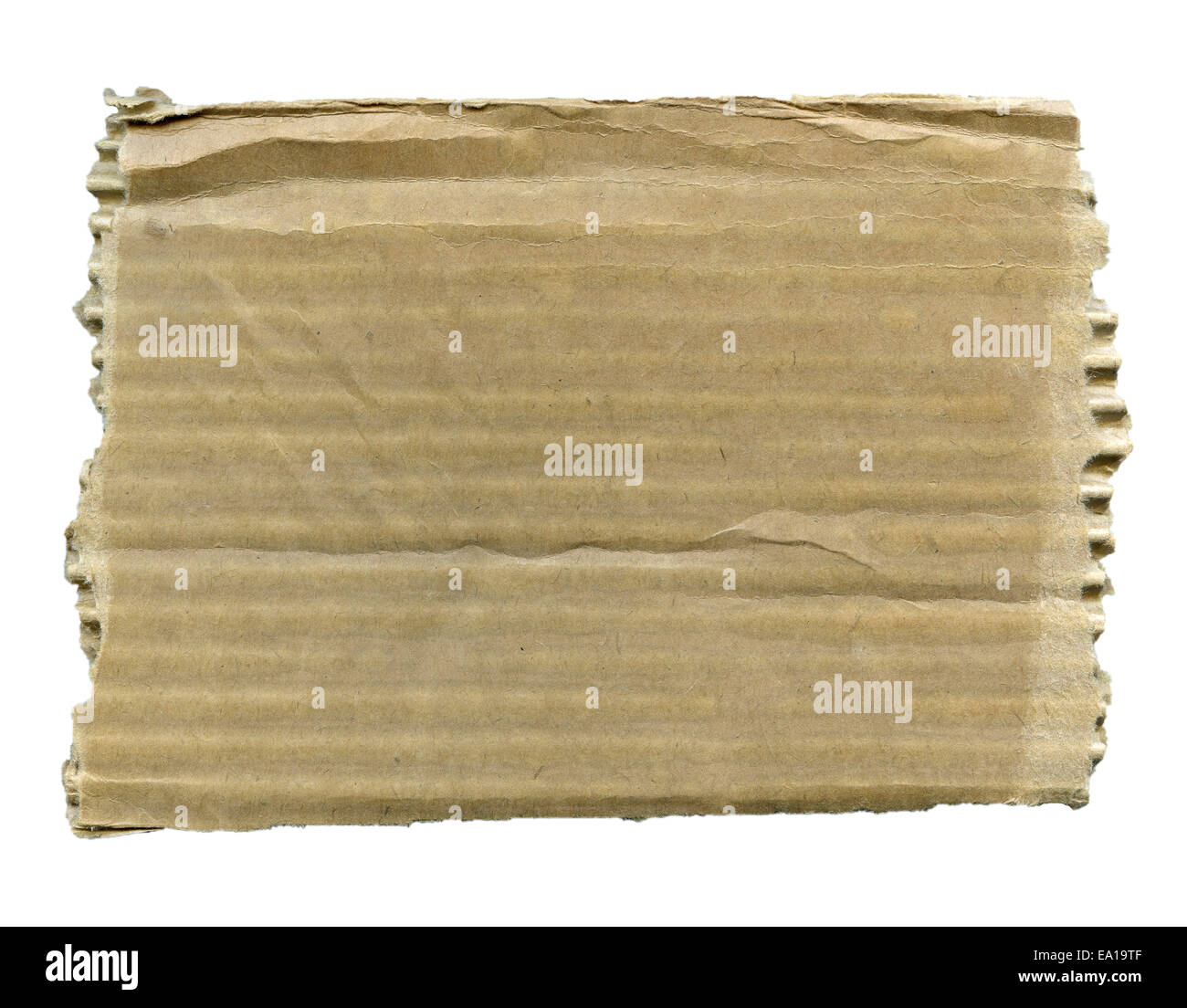 Torn cardboard isolated Stock Photo - Alamy