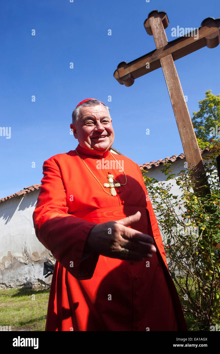 Cardinal of the roman catholic church hi-res stock photography and ...