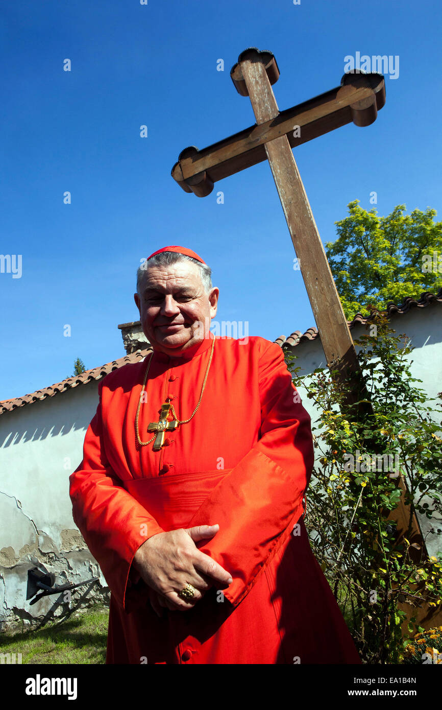 Dominik Duka, is the 36th Archbishop of Prague and a cardinal of the ...