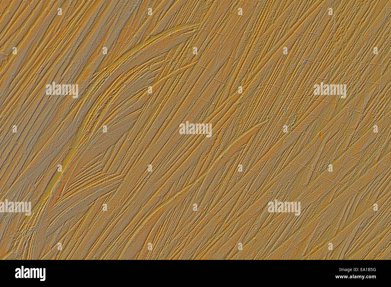 Patterns in a tree Stock Photo - Alamy