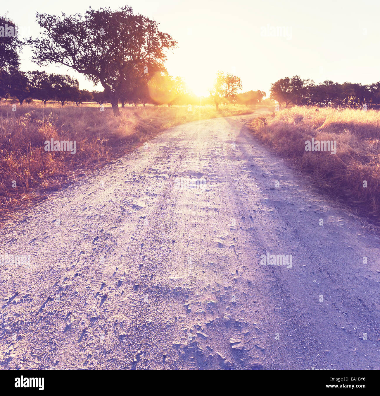 Road in field Stock Photo - Alamy
