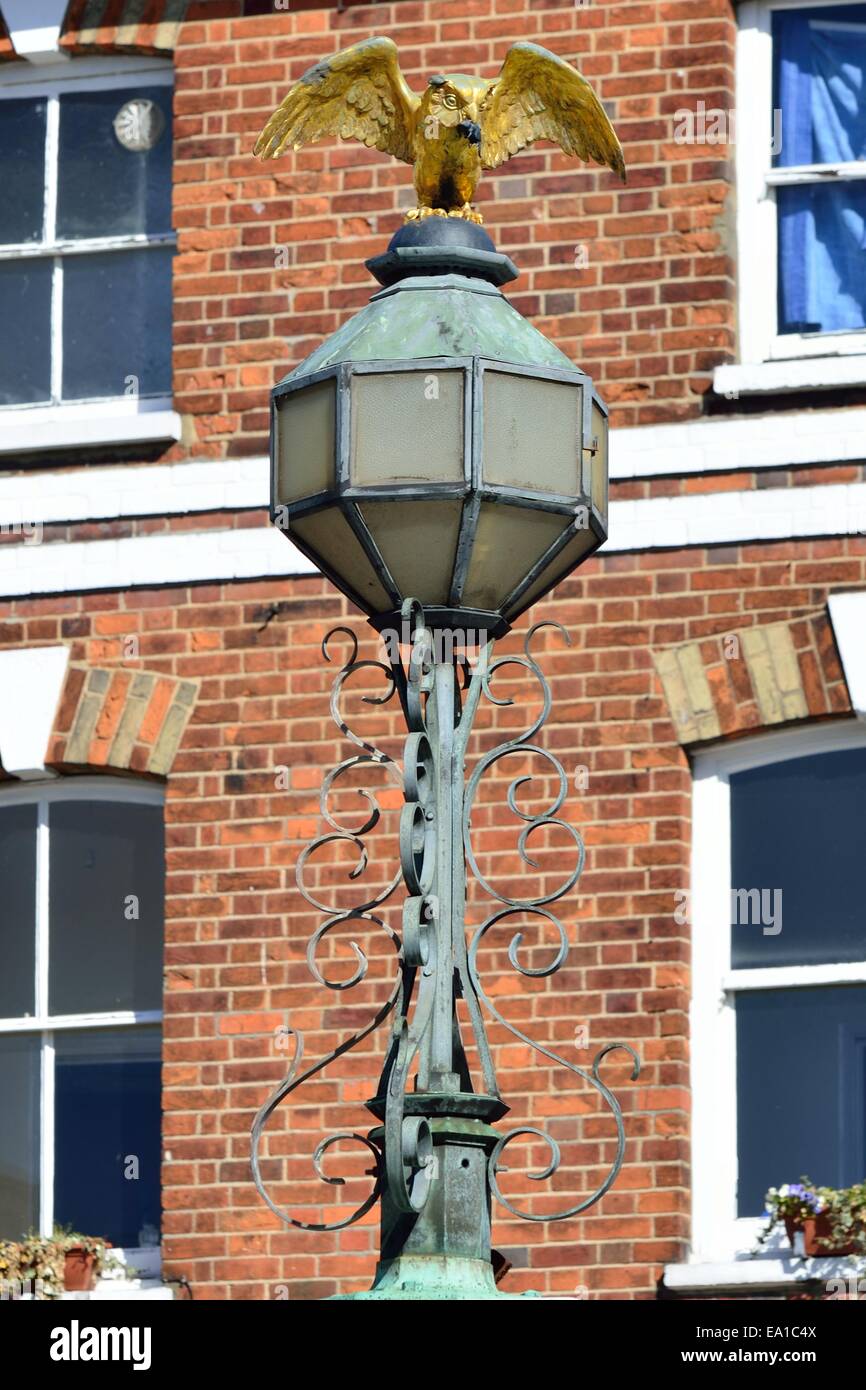 Street light owl Stock Photo - Alamy