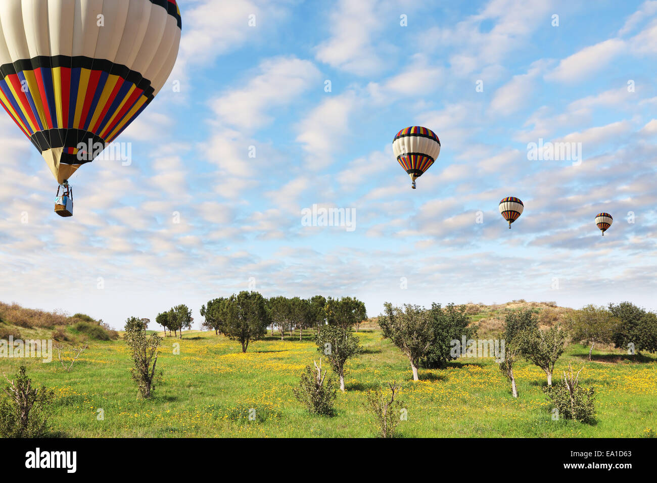 Four large bright balloons Stock Photo - Alamy