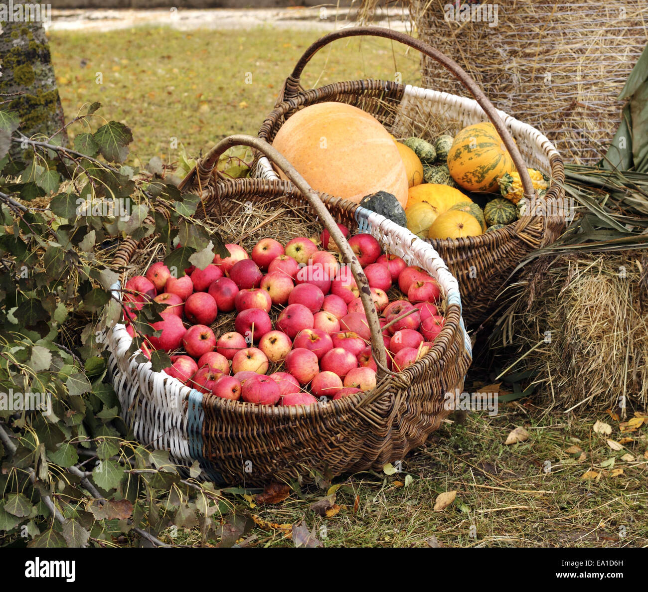 Goodies hi-res stock photography and images - Alamy