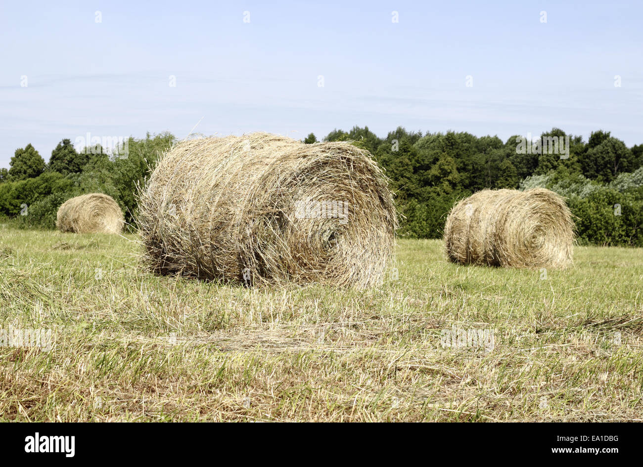 Hay rolls hi-res stock photography and images - Alamy