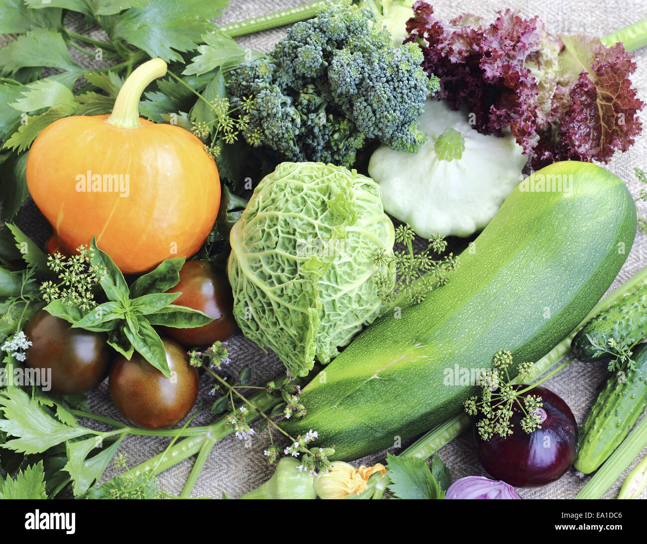Food vegetables tomato close up object food hi-res stock photography ...