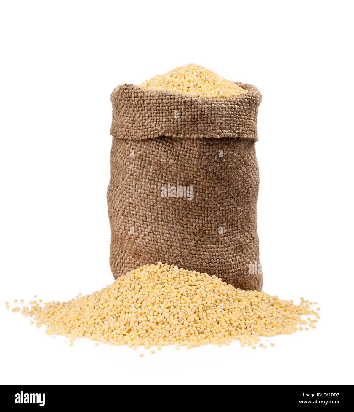 Millet grass seed Cut Out Stock Images & Pictures - Alamy