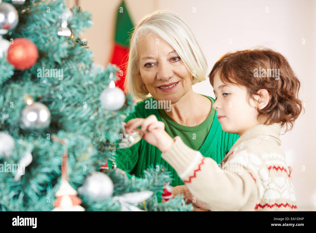 Together old tree hi-res stock photography and images - Alamy
