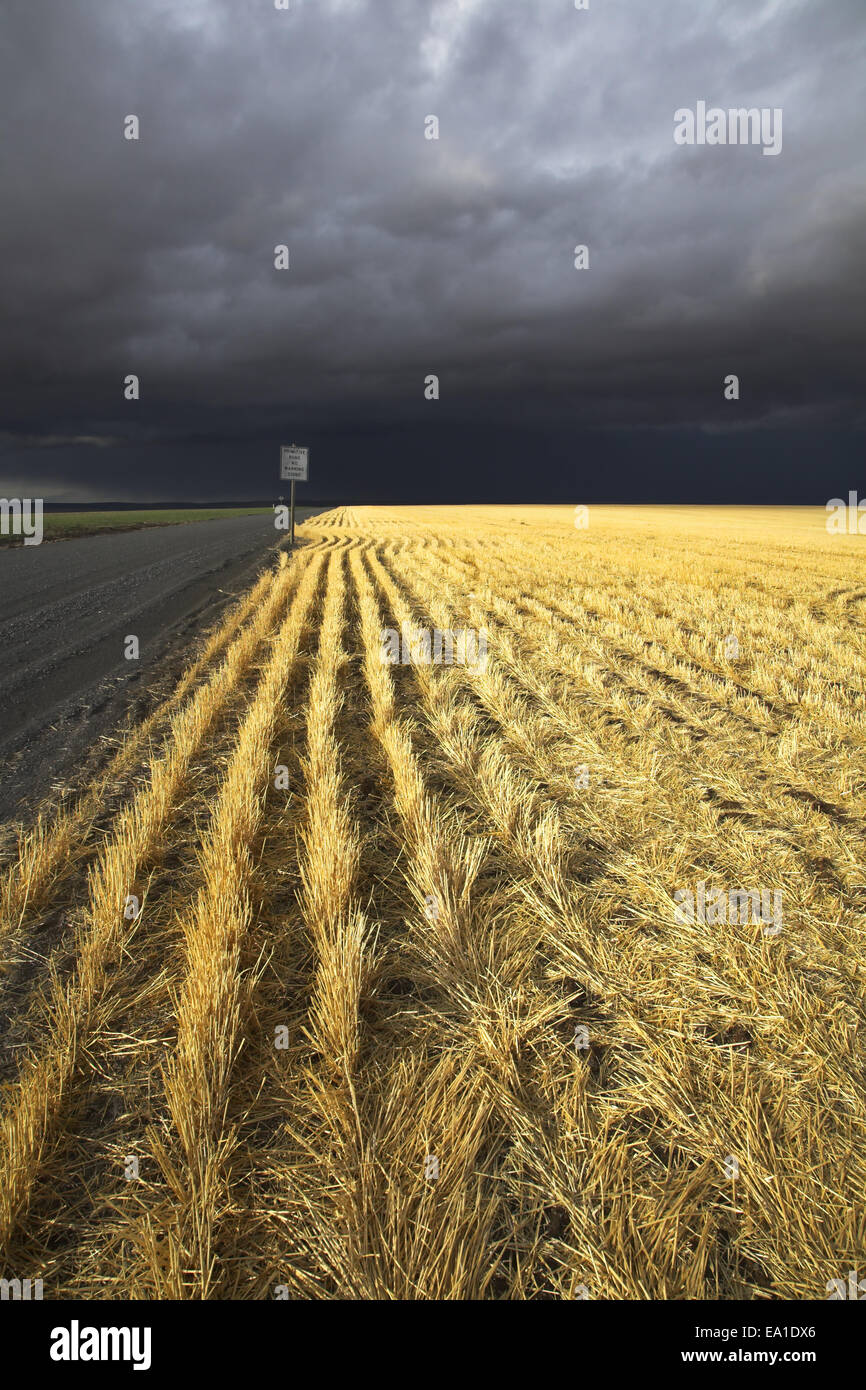 Before a thunder-storm Stock Photo - Alamy