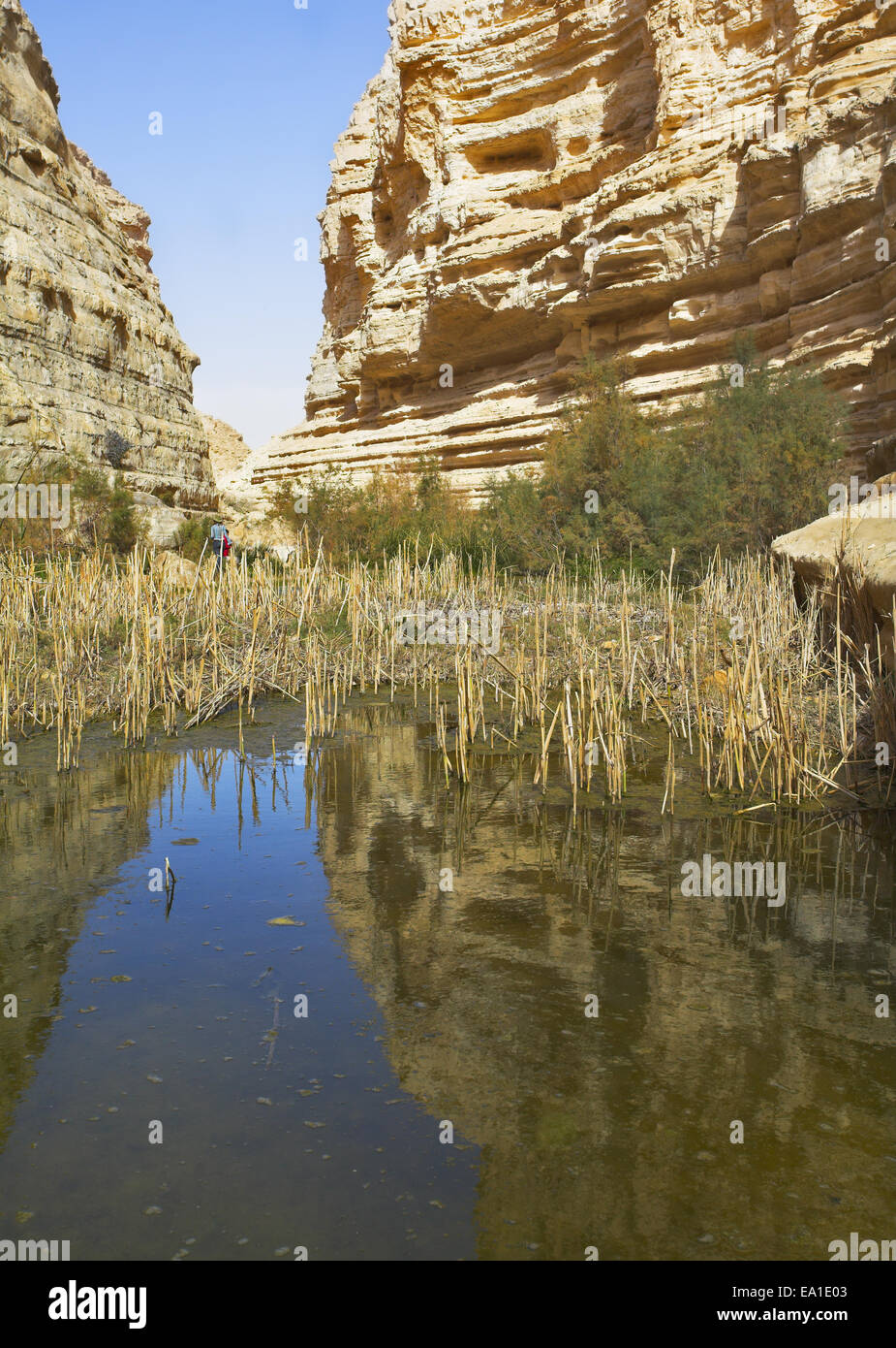Canyon in desert Stock Photo - Alamy