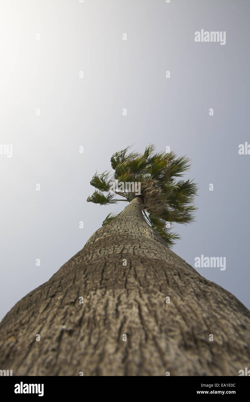 Dim background hi-res stock photography and images - Alamy