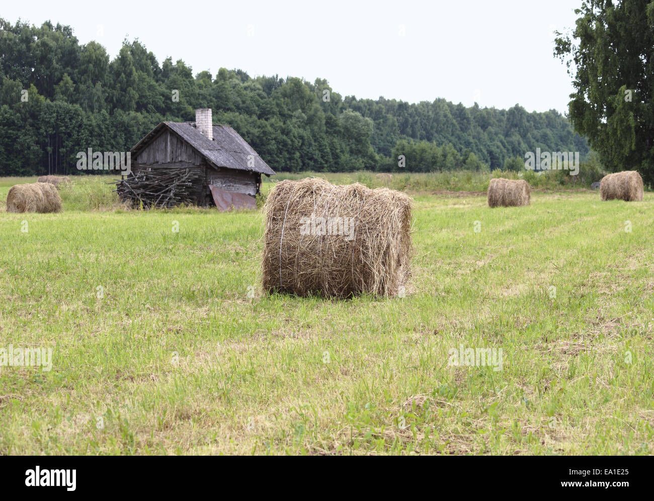 Hay rolls hi-res stock photography and images - Alamy
