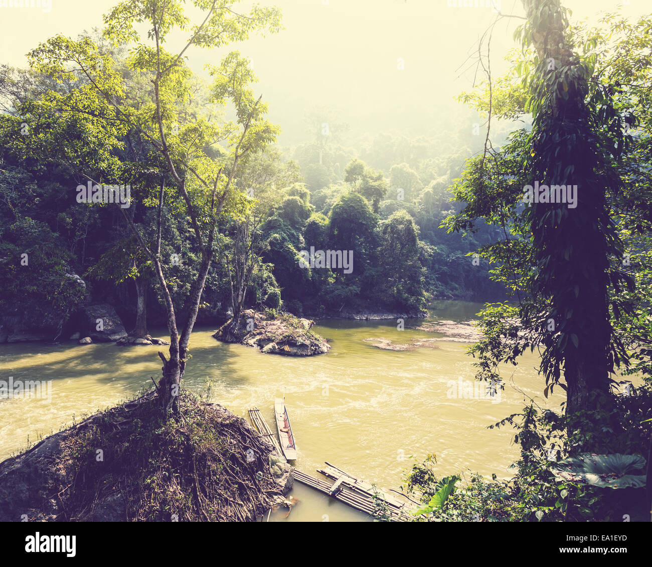 River in jungle Stock Photo - Alamy
