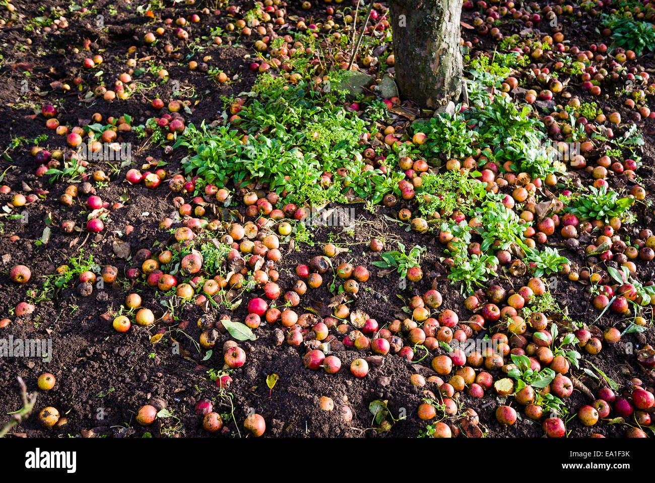 Fallings hi-res stock photography and images - Alamy