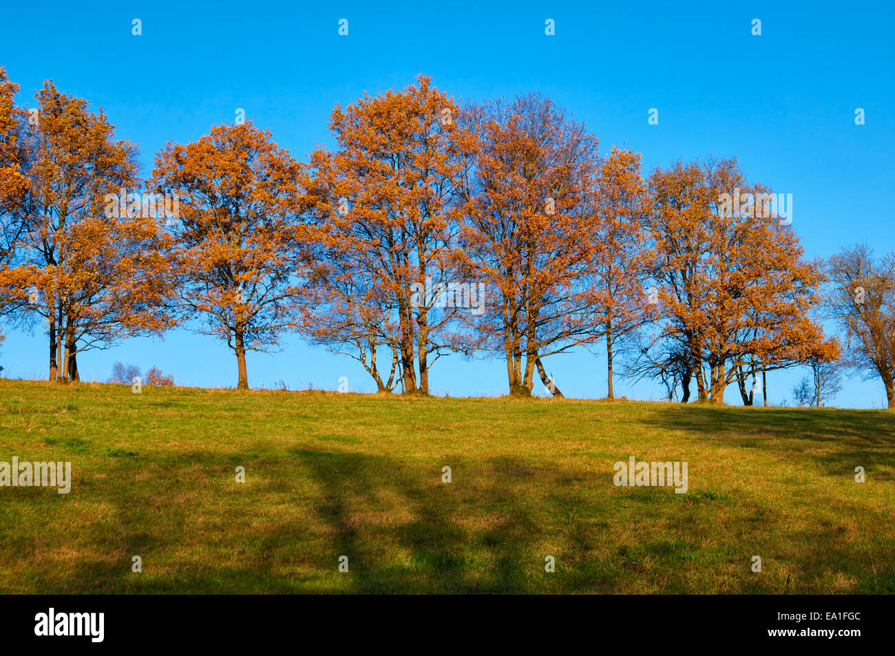 Autumn landscape hi-res stock photography and images - Alamy