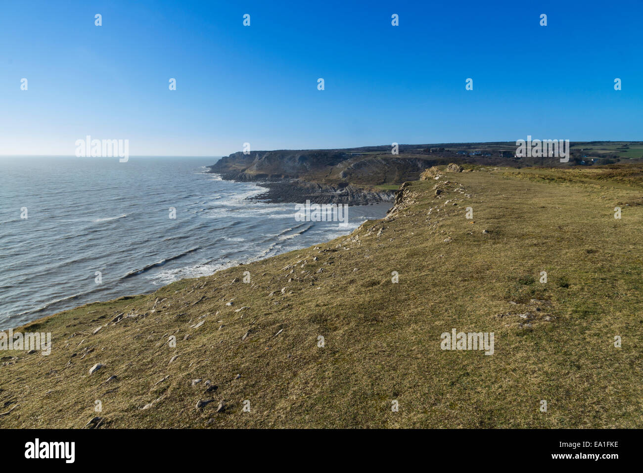 Common cliff hi-res stock photography and images - Alamy