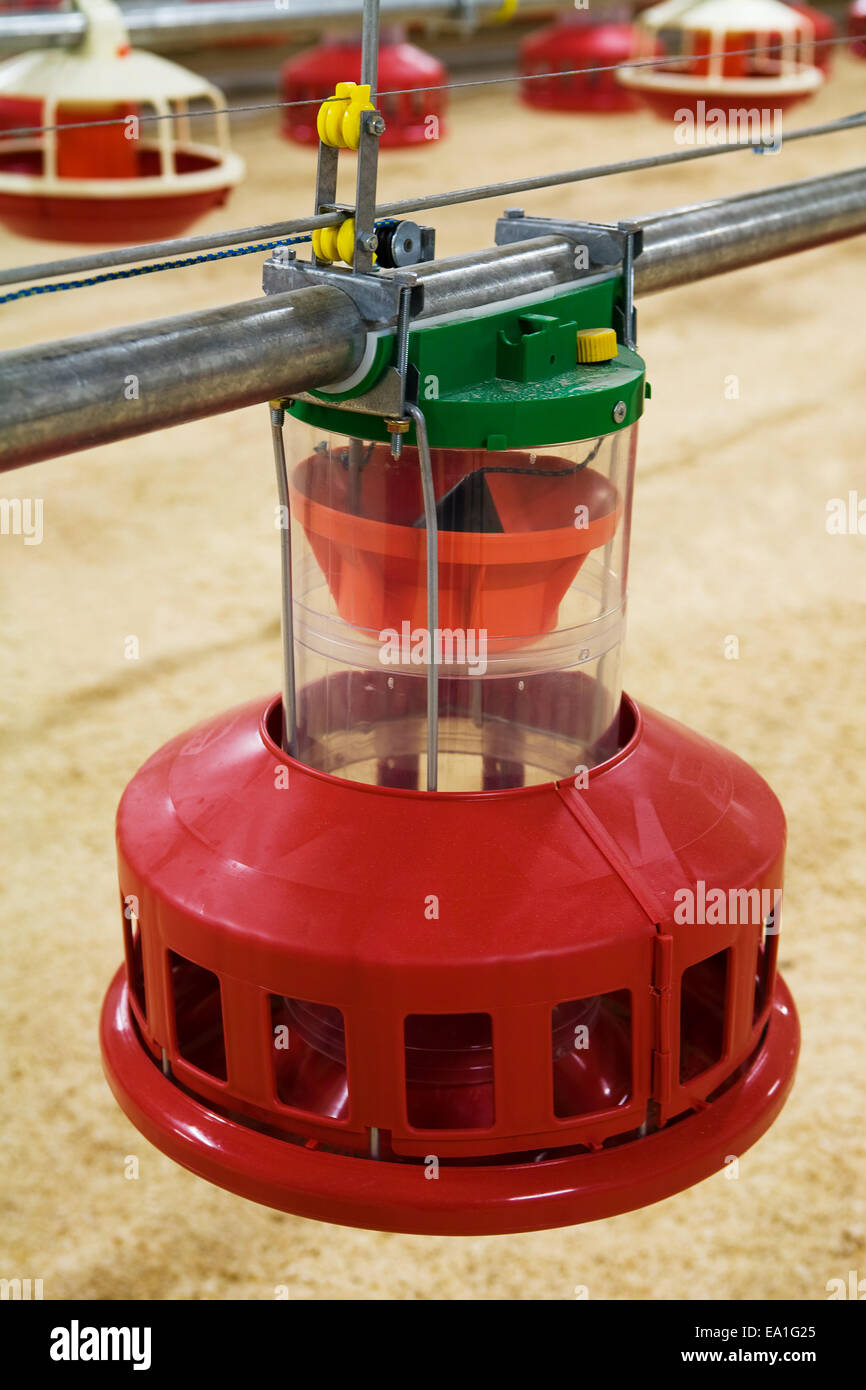 Pipe poultry hi-res stock photography and images - Alamy