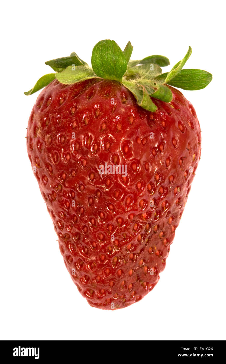 Fresh and ripe strawberry Stock Photo - Alamy