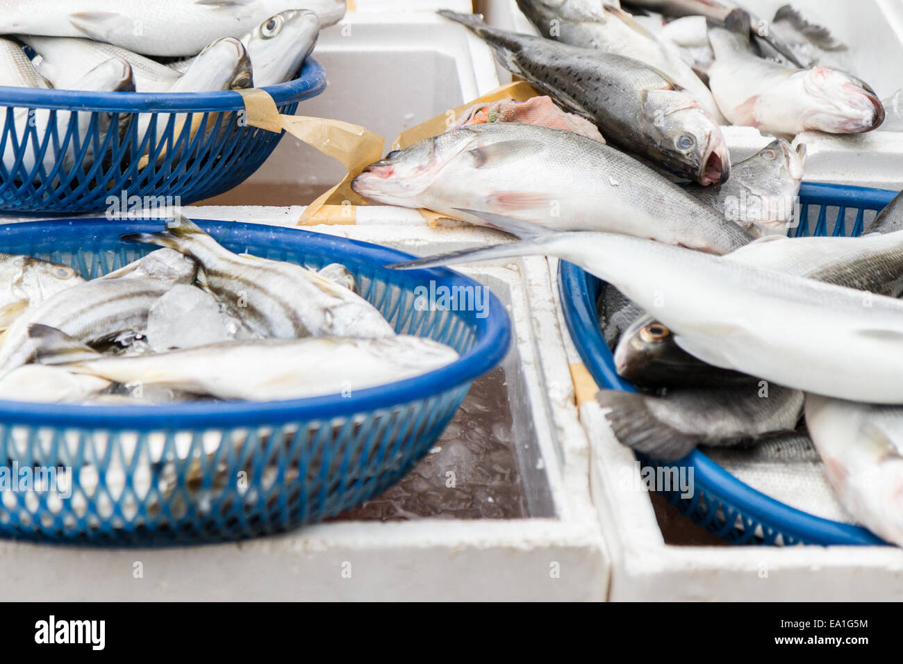 Raw fish at vendor in traditional market, Taipei, Taiwan Stock Photo ...