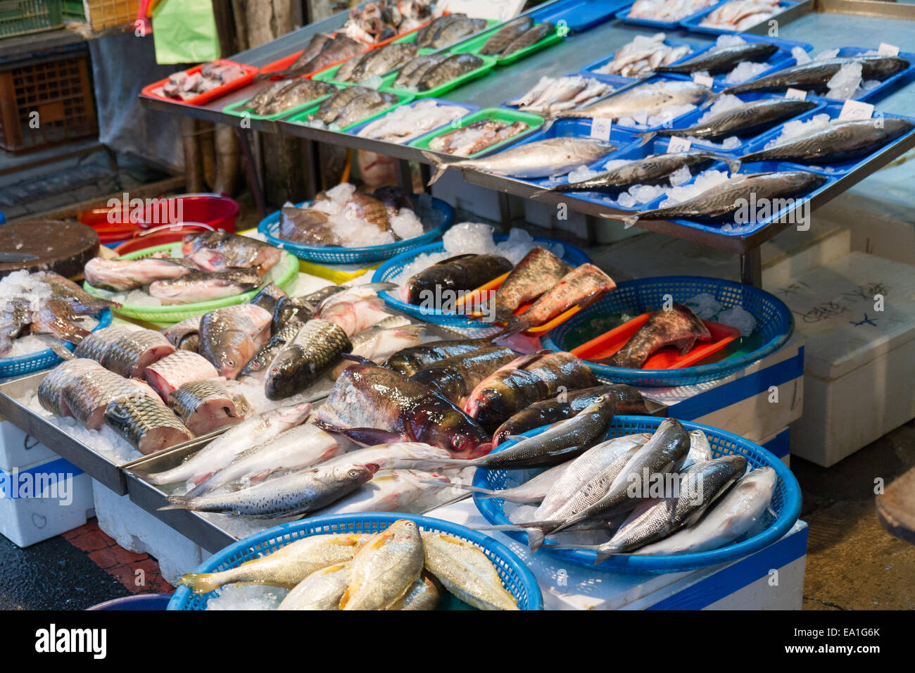 Raw fish at vendor in traditional market, Taipei, Taiwan Stock Photo ...