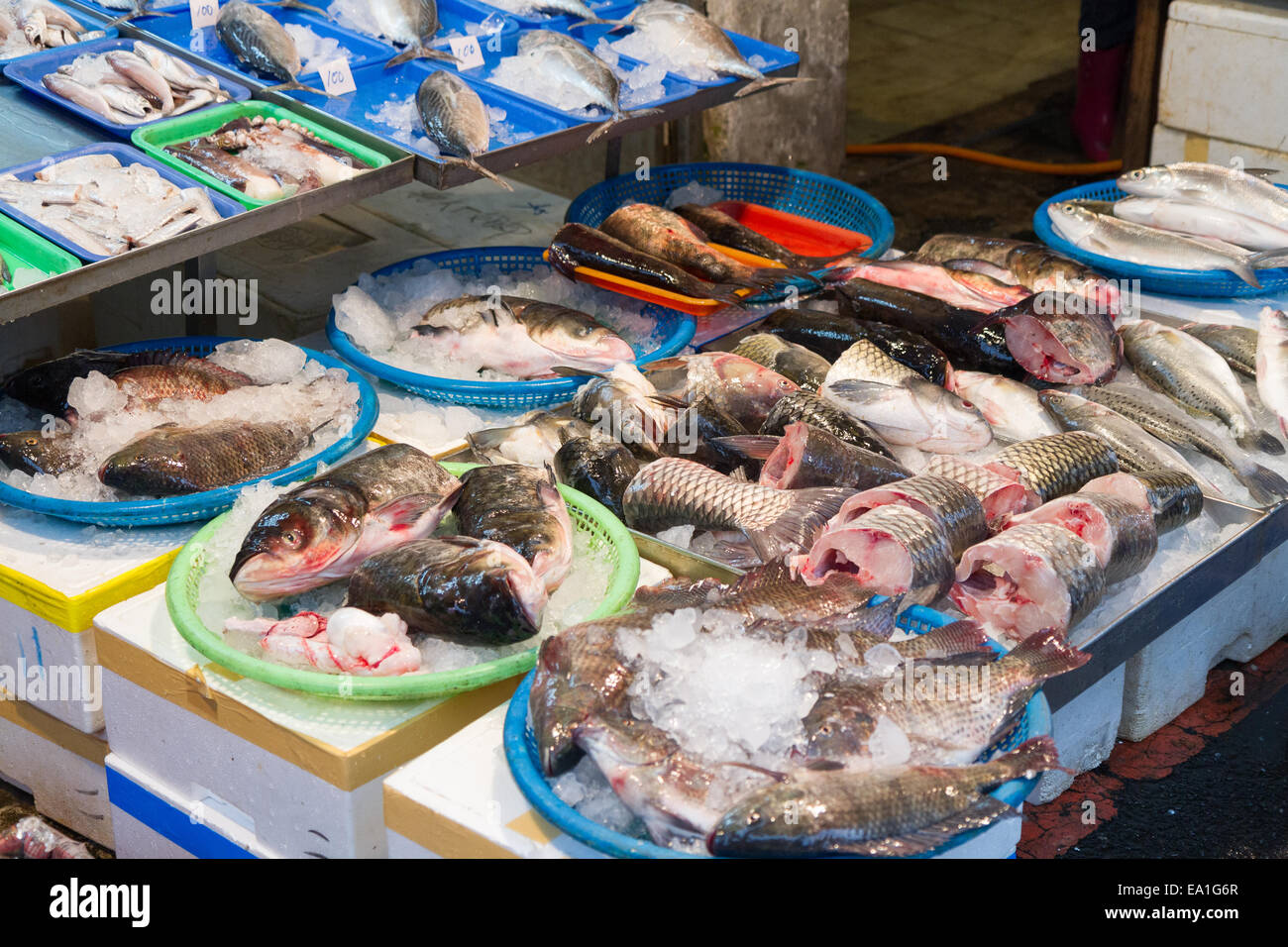 Raw fish at vendor in traditional market, Taipei, Taiwan Stock Photo ...
