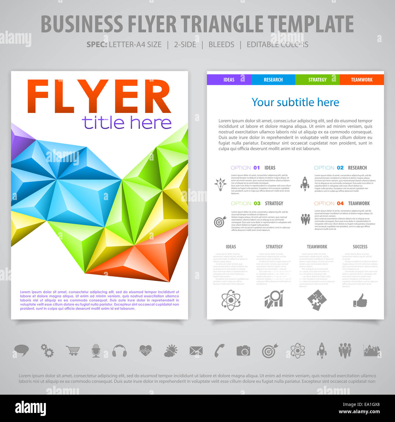 Business Flyer Design with Triangle Pattern, Icons and Number Options ...