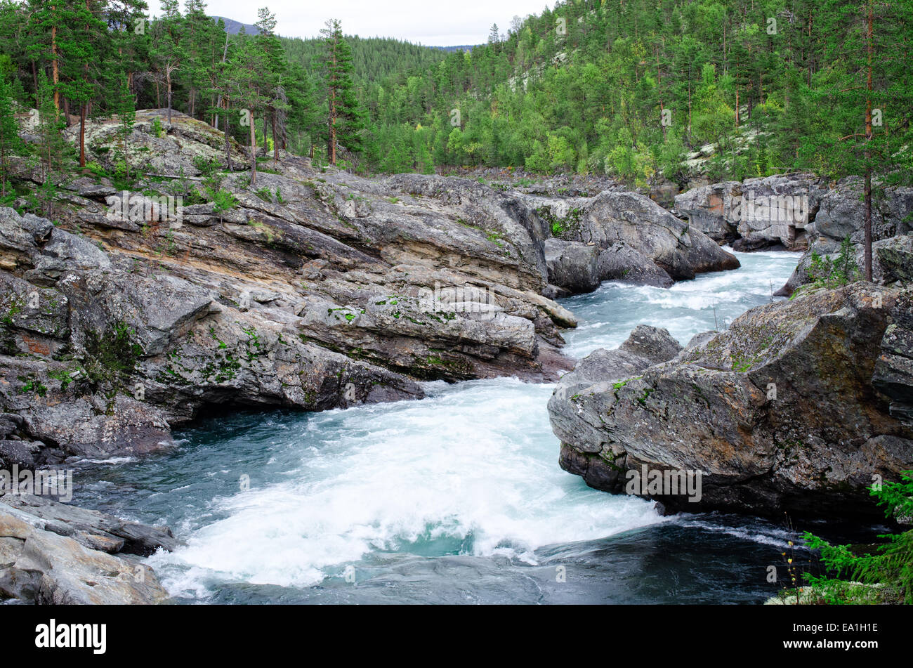 White water river Stock Photo - Alamy